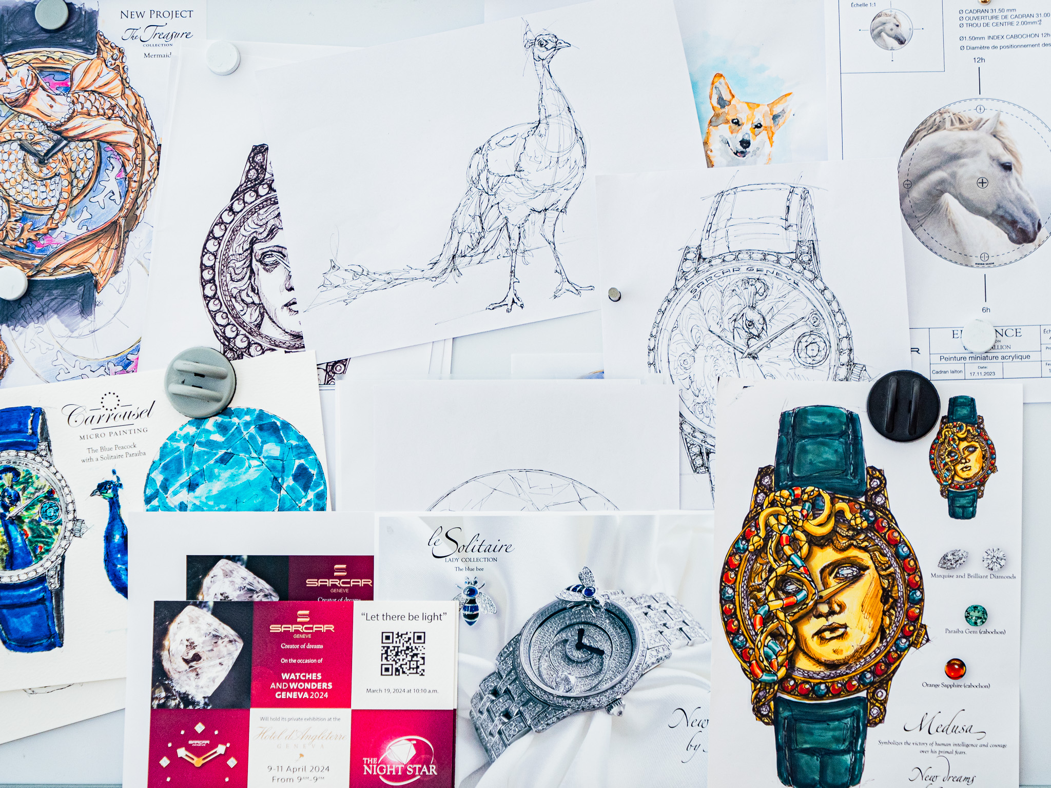 Customization – SARCAR